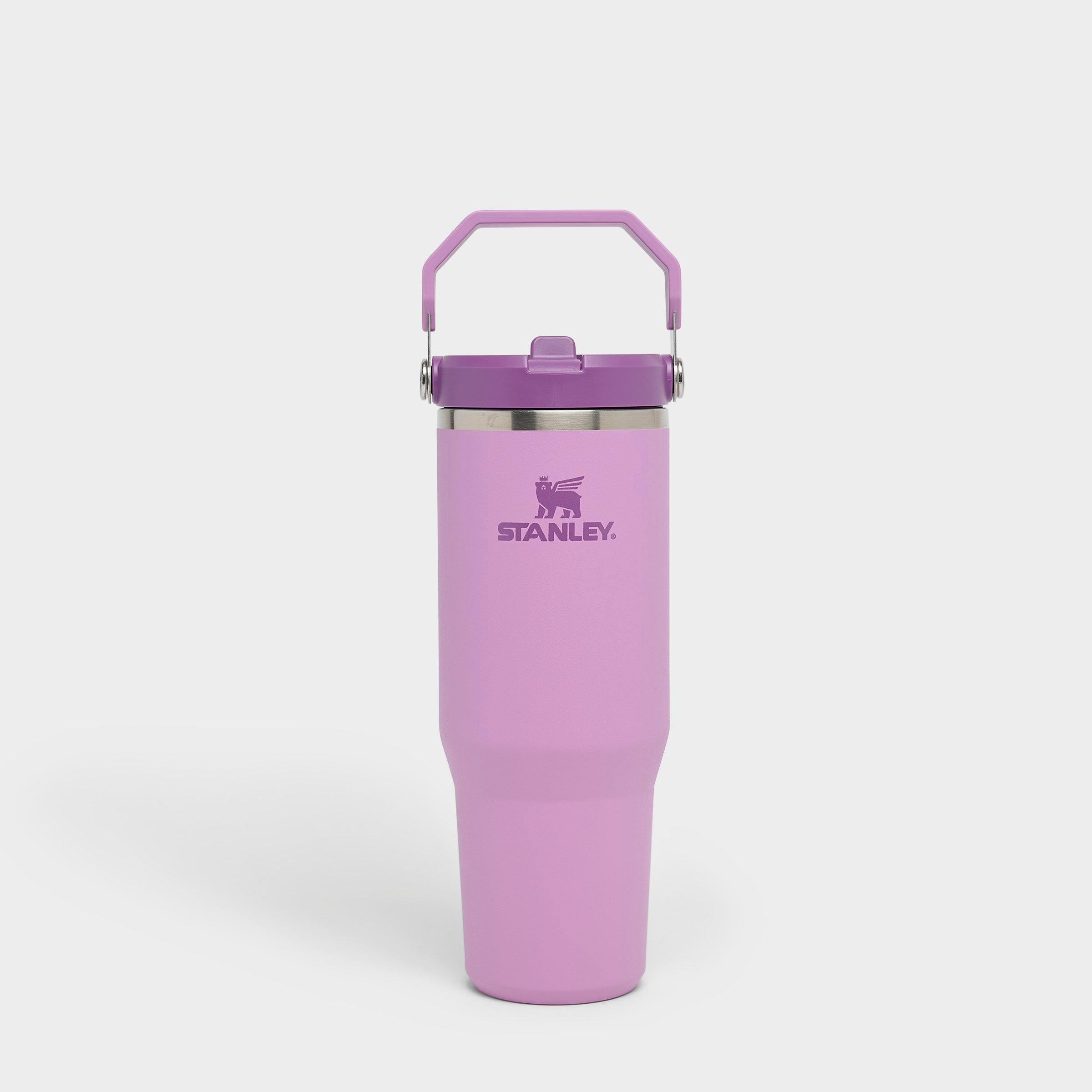 Click here for Stanley IceFlow Flip Straw Tumbler (30 oz.) in Lil... prices